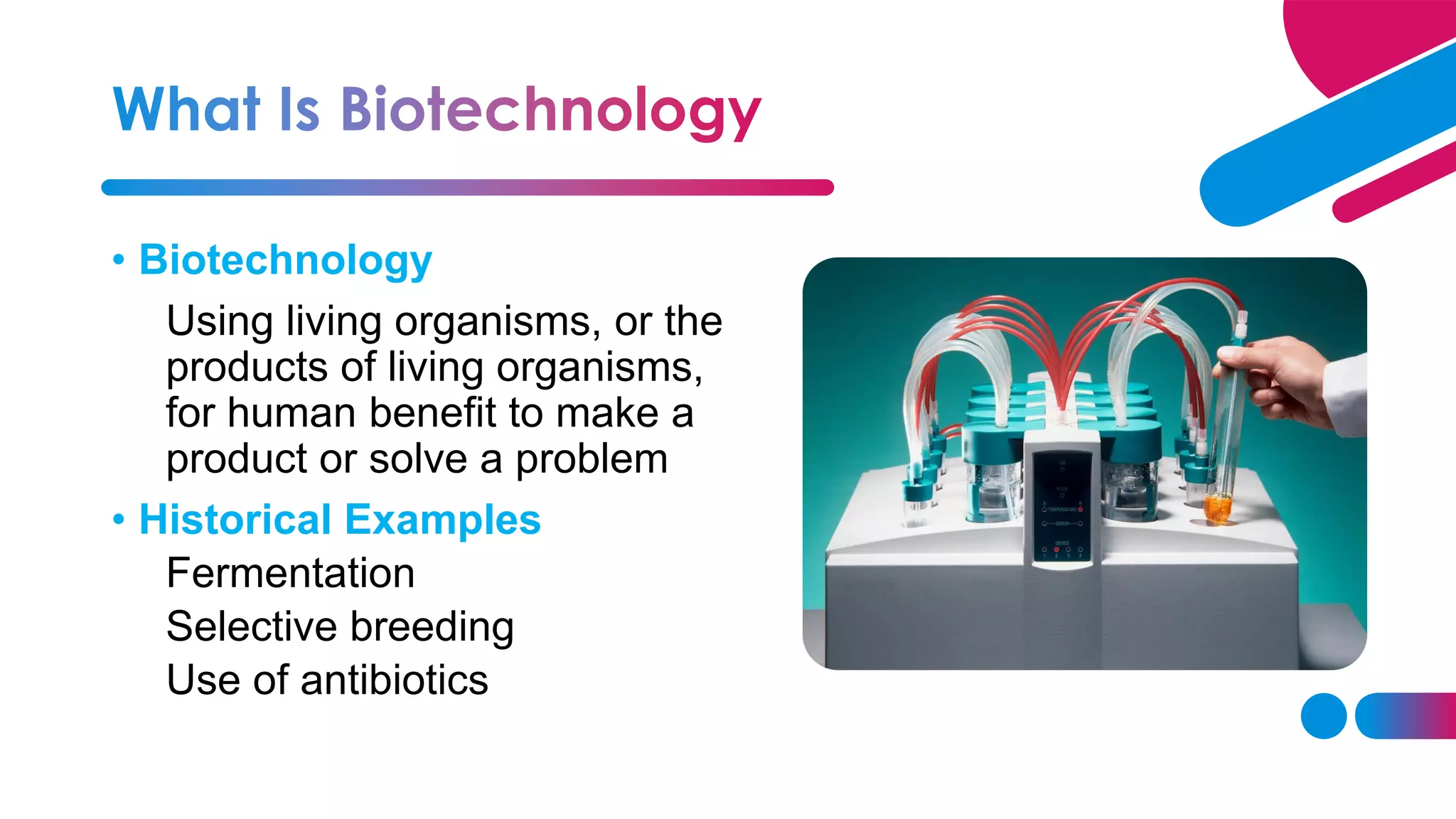 2023 Bio Technology Engineering | PPT