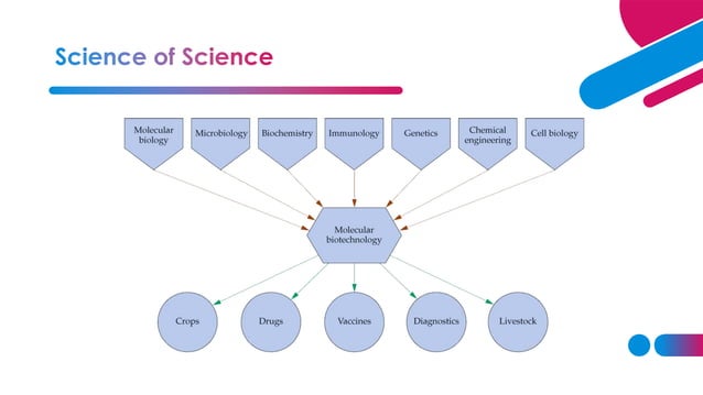2023 Bio Technology Engineering | PPT