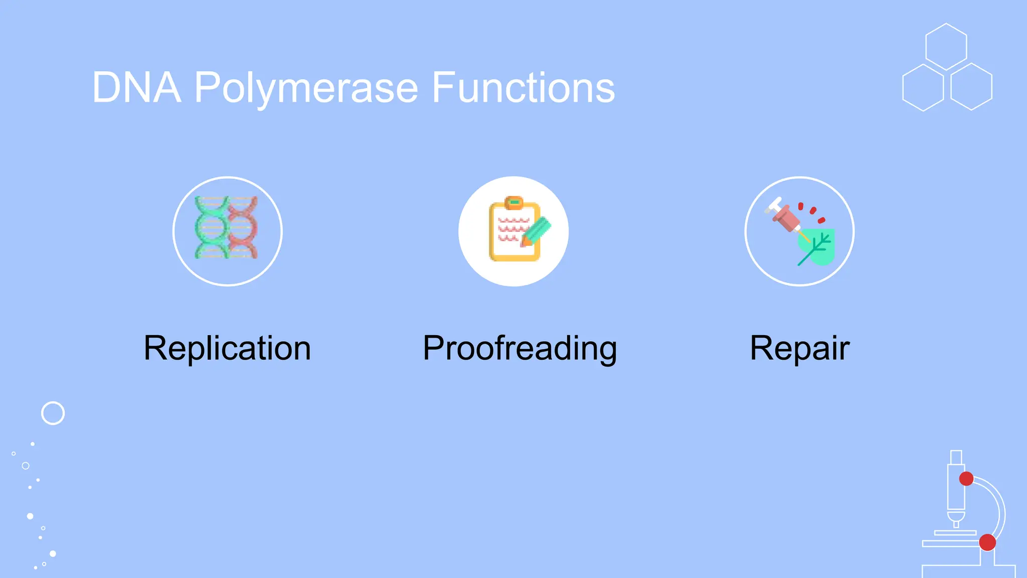 biotechnology DNA polymerase power point | PPTX