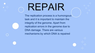 biotechnology DNA polymerase power point | PPTX | Chemistry | Science