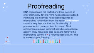 biotechnology DNA polymerase power point | PPTX | Chemistry | Science