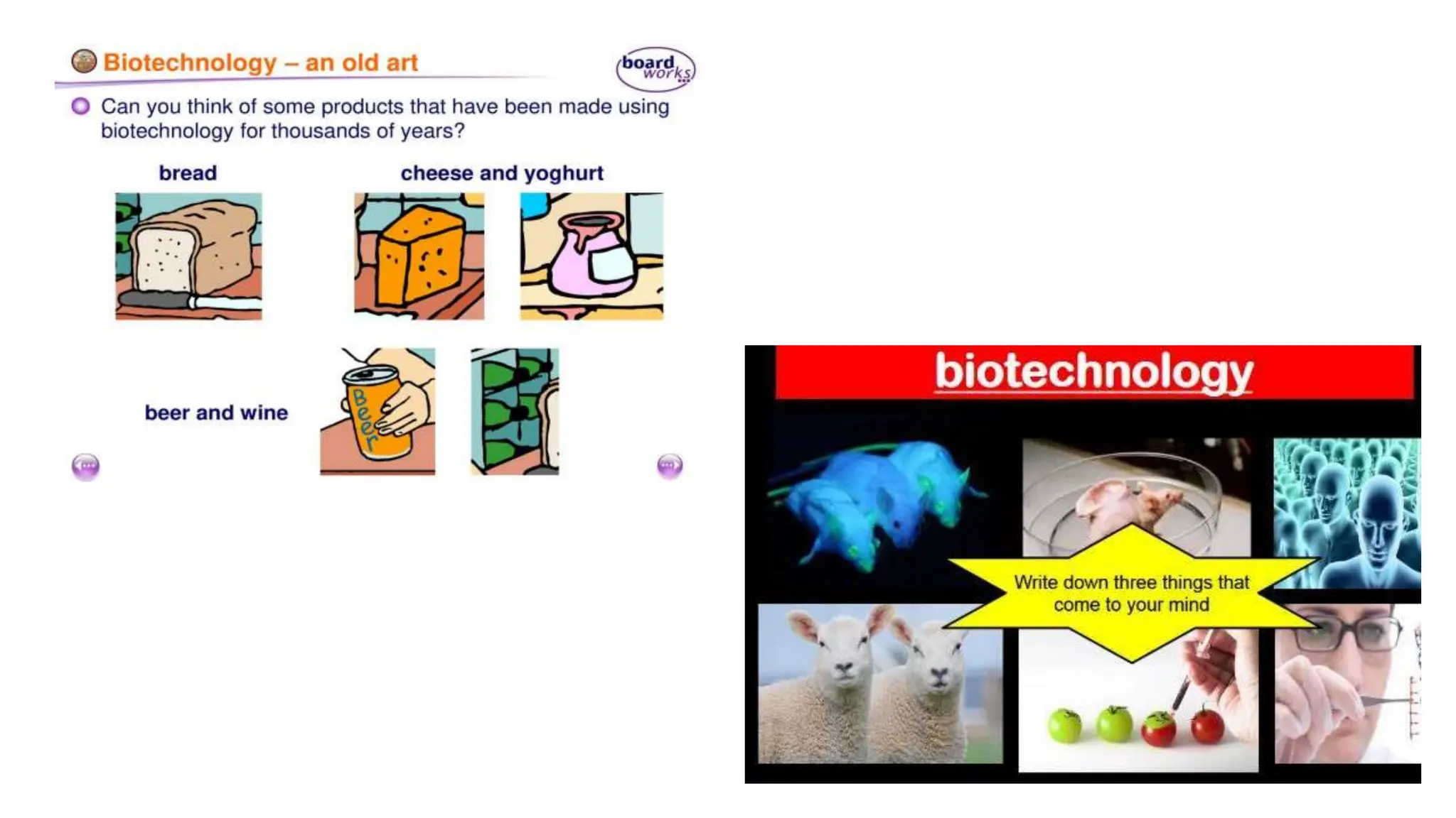 Biotechnology: Basic concepts, Principles and Scope | PPTX