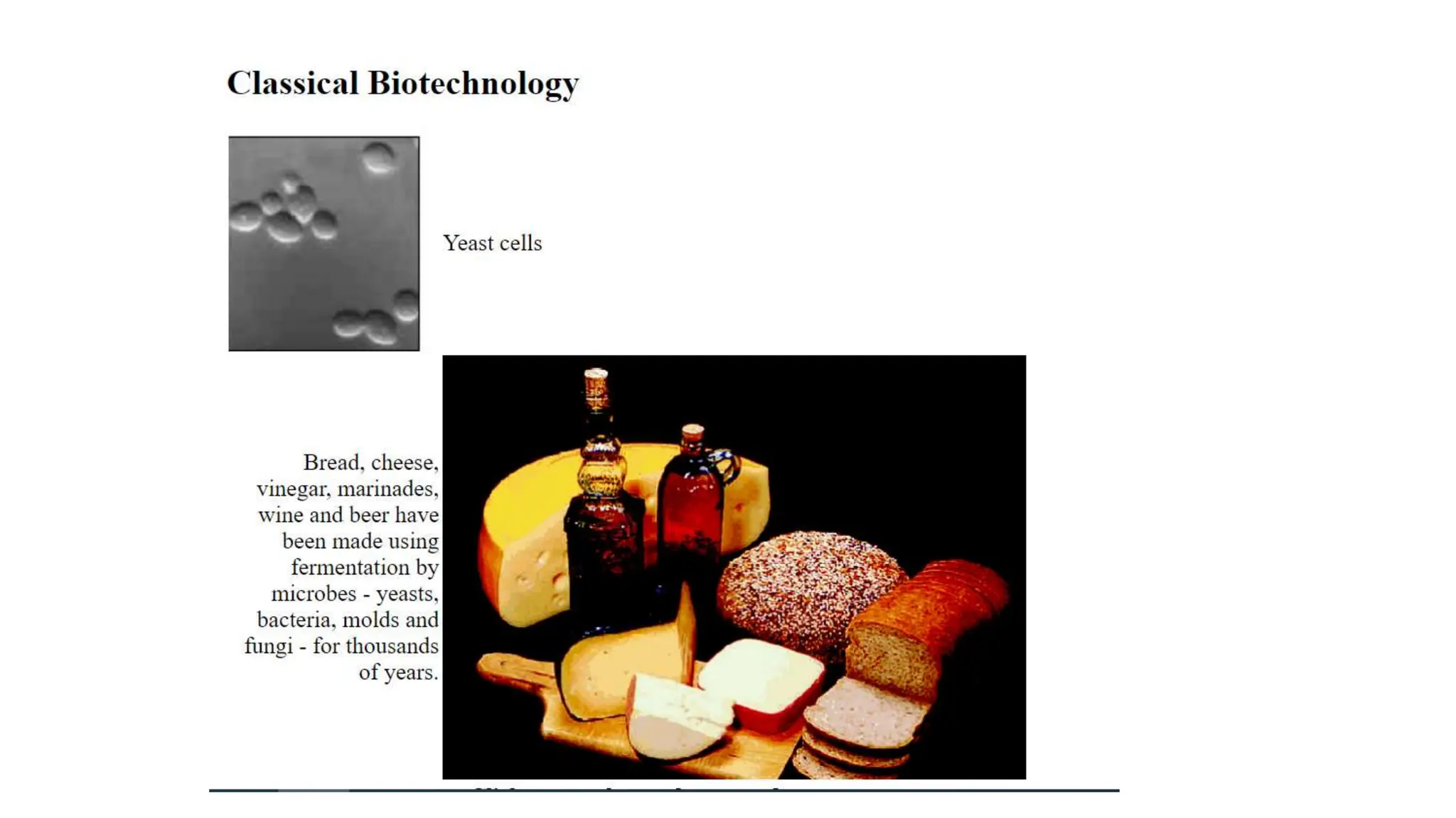 Biotechnology: Basic concepts, Principles and Scope | PPTX | Biotech and Biomedical Industry ...