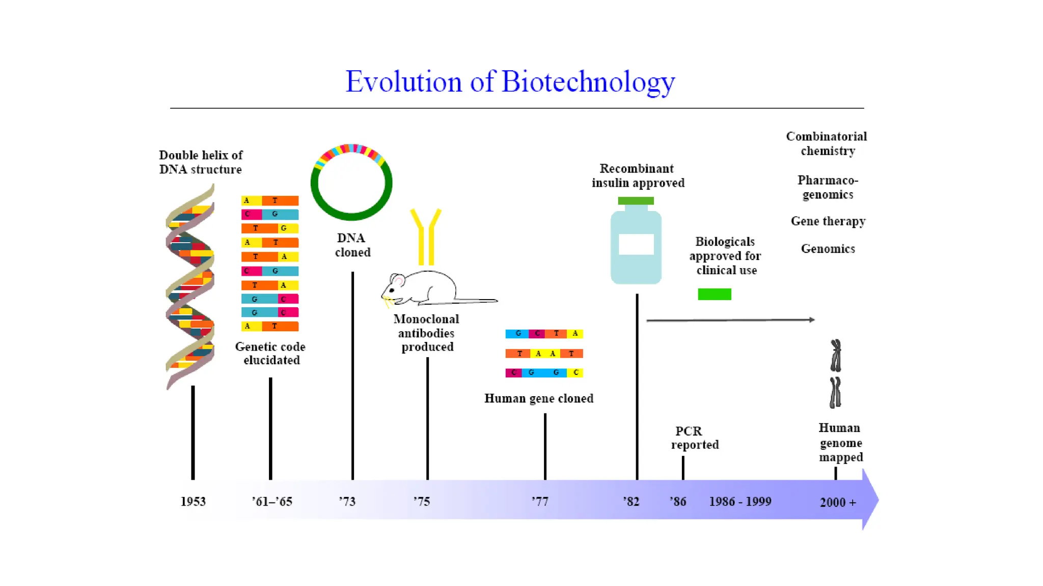 Biotechnology: Basic concepts, Principles and Scope | PPTX | Biotech and Biomedical Industry ...