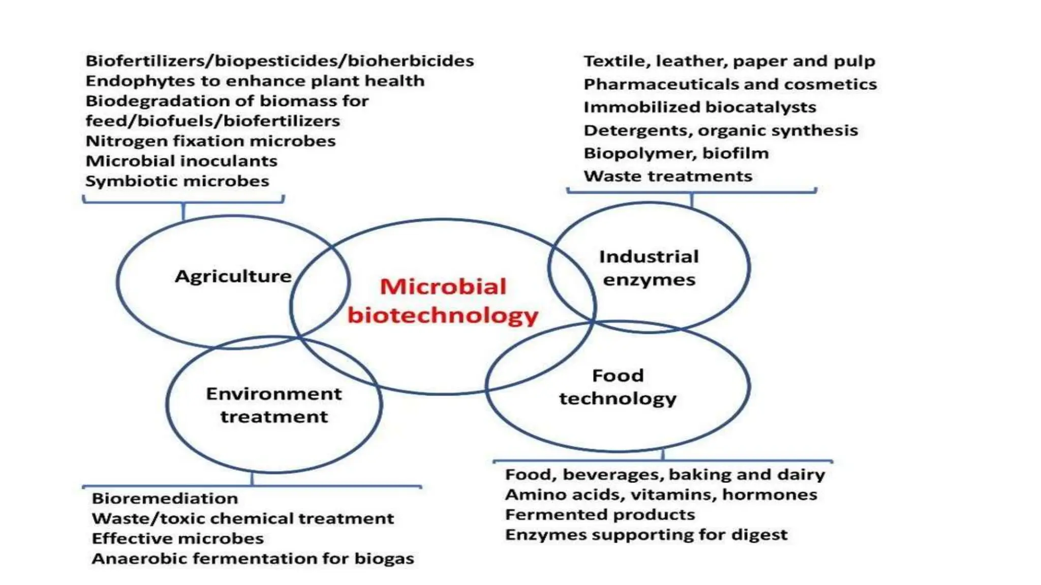Biotechnology: Basic concepts, Principles and Scope | PPTX | Biotech and Biomedical Industry ...