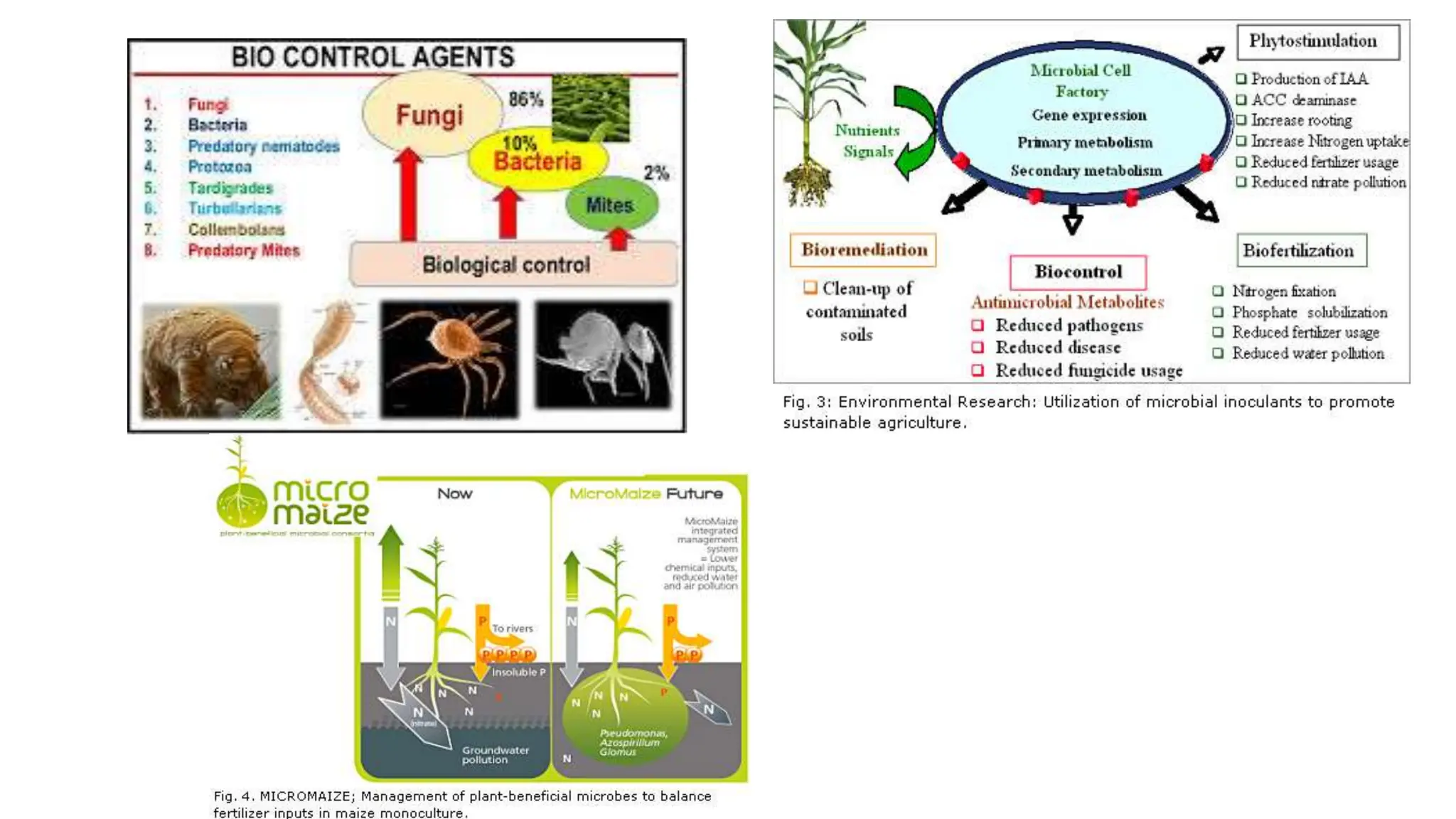 Biotechnology: Basic concepts, Principles and Scope | PPTX | Biotech and Biomedical Industry ...
