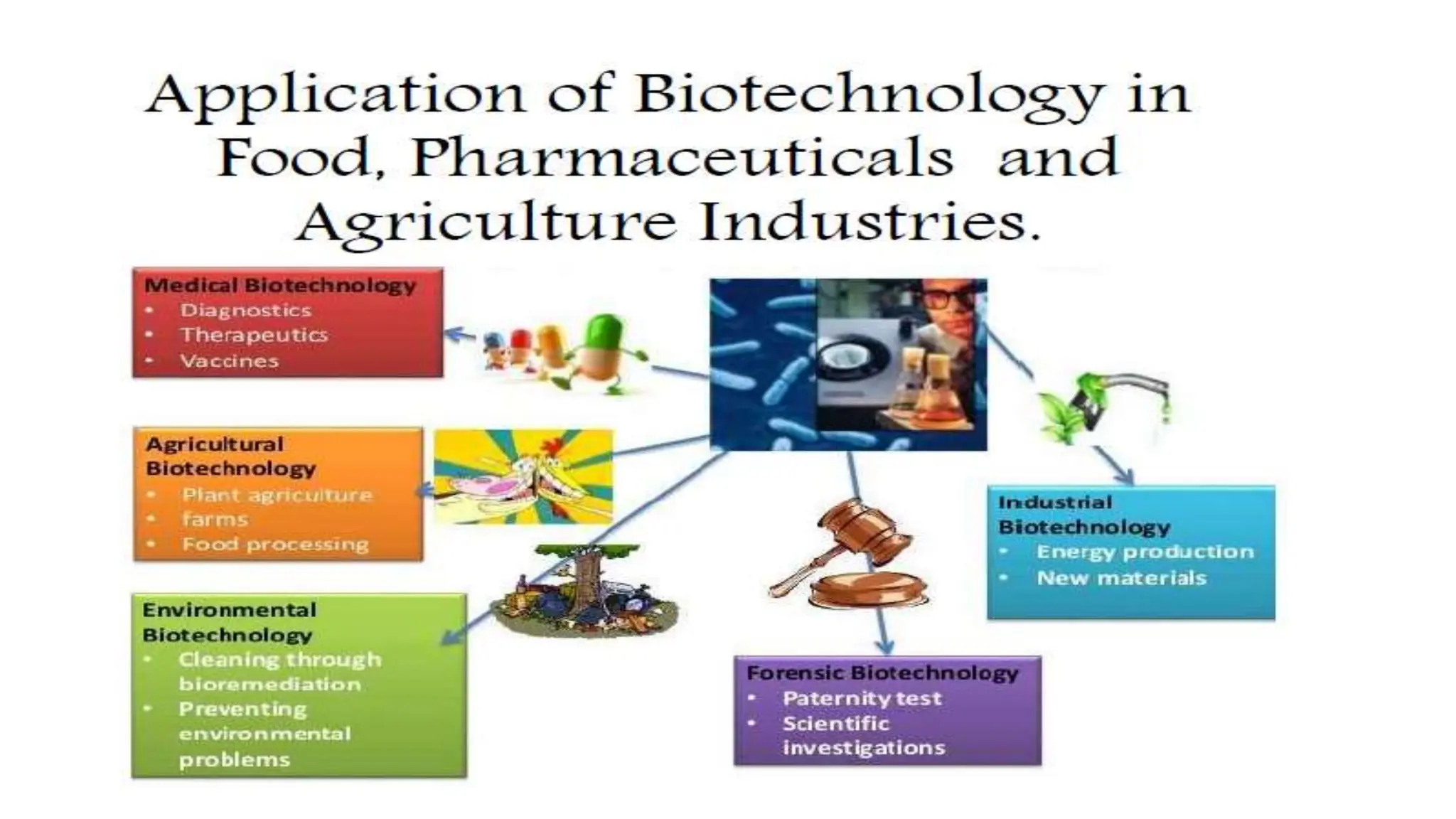 Biotechnology: Basic concepts, Principles and Scope | PPTX