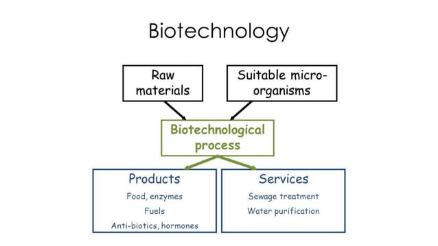 Biotechnology: Basic concepts, Principles and Scope | PPTX | Biotech ...