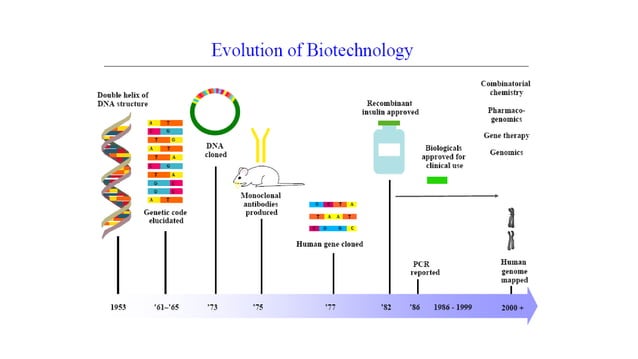 Biotechnology: Basic concepts, Principles and Scope | PPTX | Biotech ...