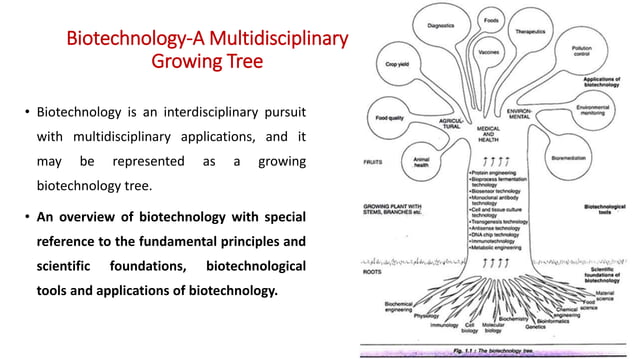 Biotechnology: Basic concepts, Principles and Scope | PPTX | Biotech ...