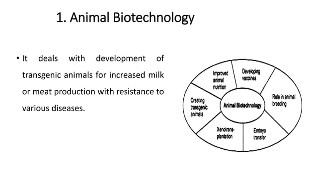 Biotechnology: Basic concepts, Principles and Scope | PPTX | Biotech ...