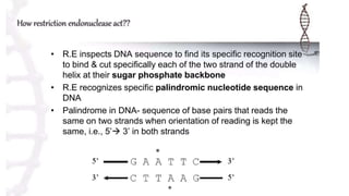 BIOTECHNOLOGYBiotechnology is technology that utilizes biological ...
