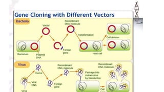BIOTECHNOLOGYBiotechnology is technology that utilizes biological ...