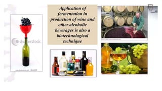 BIOTECHNOLOGYBiotechnology is technology that utilizes biological ...