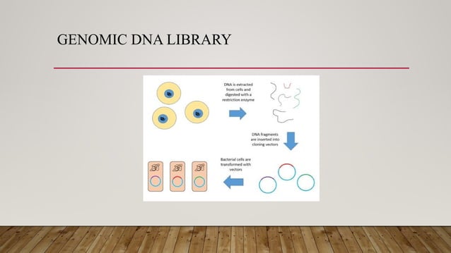 Microbial biotechnology SlideShare, DNA LIBRARIES | PPT