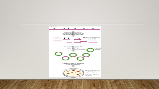 Microbial biotechnology SlideShare, DNA LIBRARIES | PPT