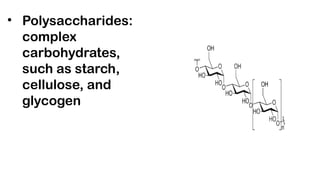 structure and function of carbohydrates in plants | PPTX