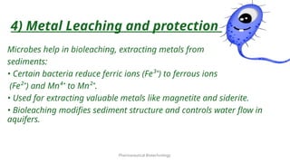 Biotechnology Microbes Information Introduction and it's roles.pptx