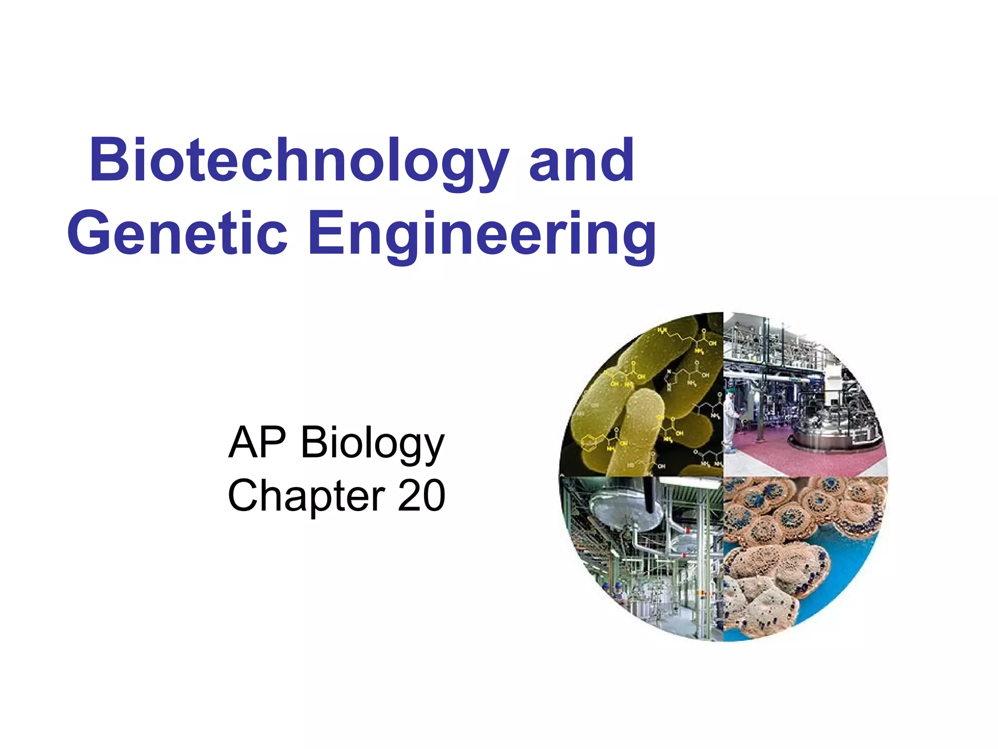 Biotechnology Ap | PPT
