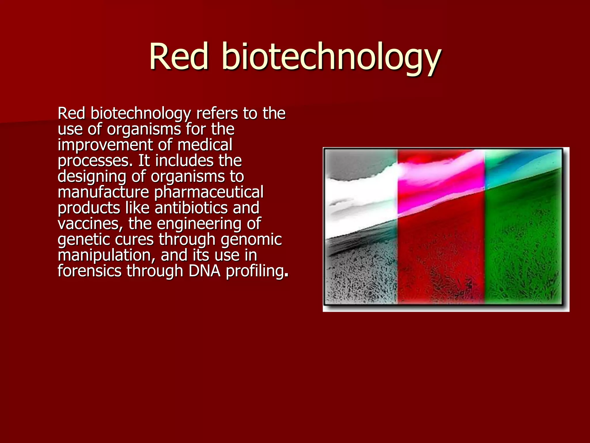 biotechnology-basic-1.ppt