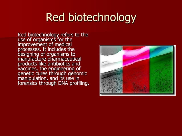 biotechnology-basic-1.ppt | Biotech and Biomedical Industry | Industries