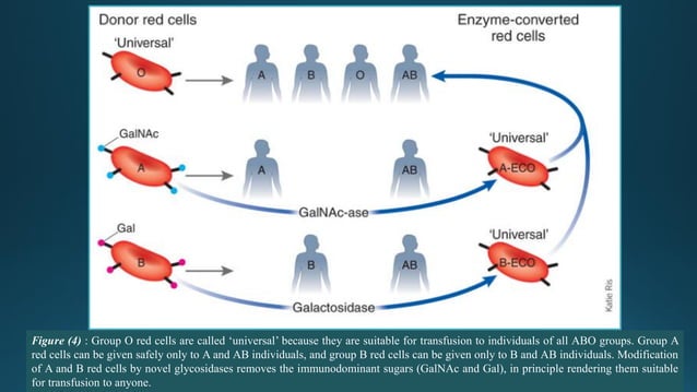 Enzymatic therapy | PPT