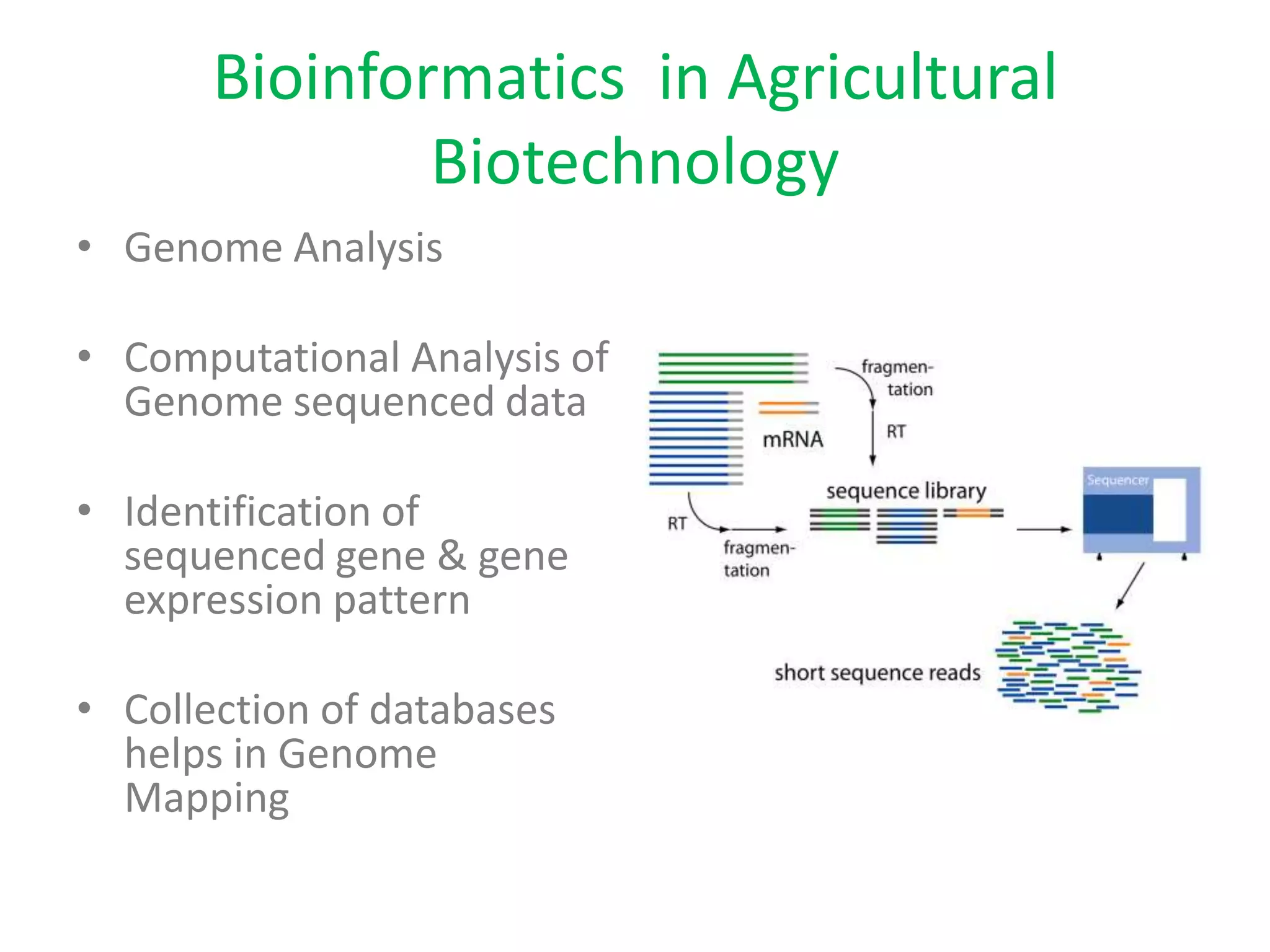 Biotechnology in agriculture and BioInformatics in Agriculture | PPT