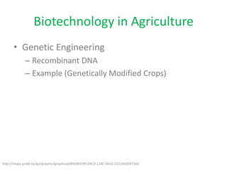 Biotechnology in agriculture and BioInformatics in Agriculture | PPT