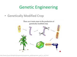 Biotechnology in agriculture and BioInformatics in Agriculture | PPT