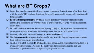 Biotechnology-in-Plant-Science.pptx