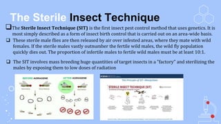 Biotechnology-in-Plant-Science.pptx