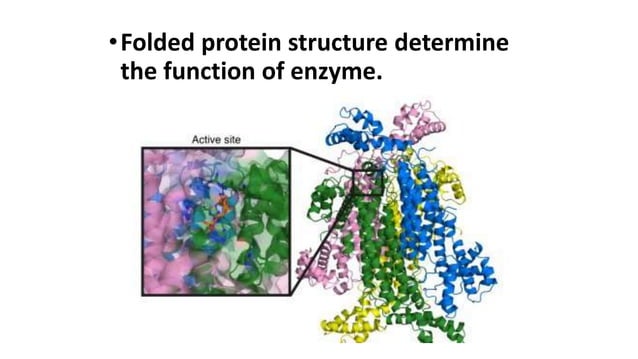 Biotechnology Enzyme engineering lecture.pptx