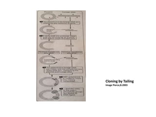 BIOTECHNOLOGY : LIGATION TECHNIQUES SMG | PPT