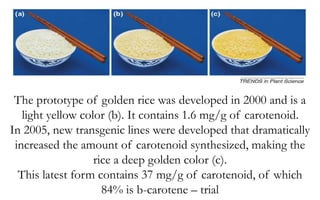 application of tissue culture in crop improvement | PPTX