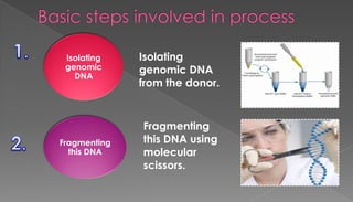 Biotechnology: Process and Application | PPTX
