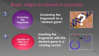 Biotechnology: Process and Application | PPTX