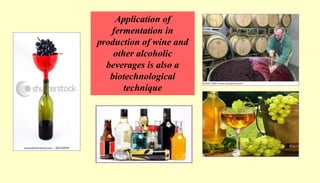 Biotechnology: Process and Application | PPTX