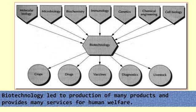 Biotechnology: Process and Application | PPT