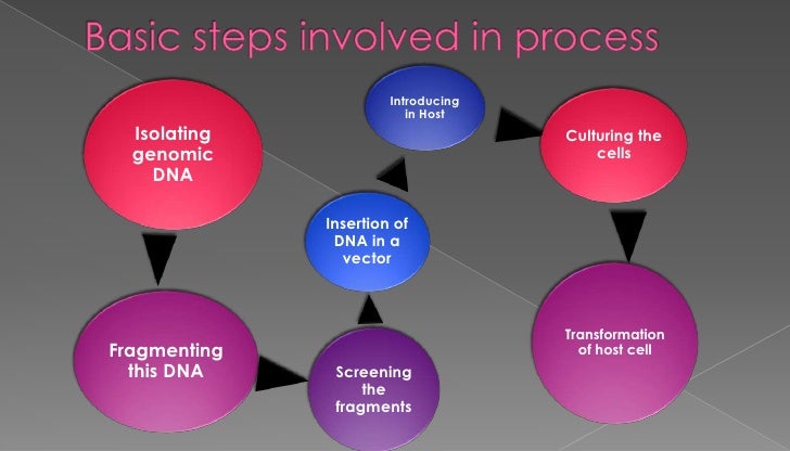 Biotechnology: Process and Application