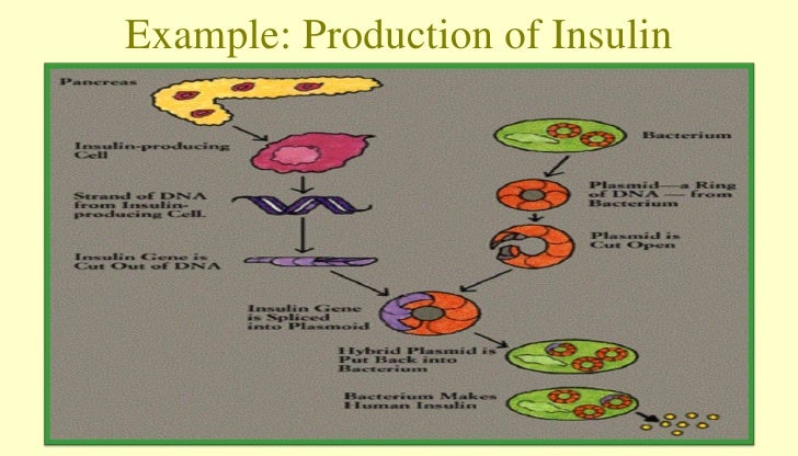 Biotechnology: Process and Application