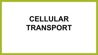BIOTECHNOLOGY - transport materials.pptx