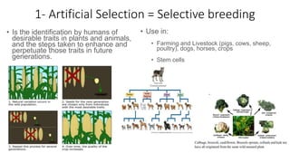 Biotechnology (1).pptx