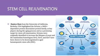 Biotechnology and ageing. pptx. | PPTX