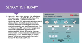 Biotechnology and ageing. pptx. | PPTX