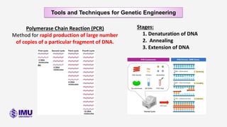 Biotechnology and Drug Design - Part 1 notes.pdf