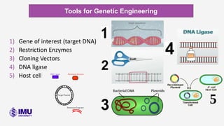 Biotechnology and Drug Design - Part 1 notes.pdf