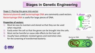 Biotechnology and Drug Design - Part 1 notes.pdf