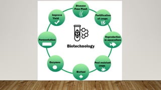 Role of Biotechnology in Food Insecurity | PPTX