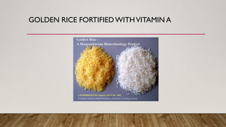 Role of Biotechnology in Food Insecurity | PPTX