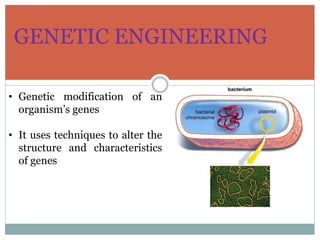Biotechnology and genatic | PPTX